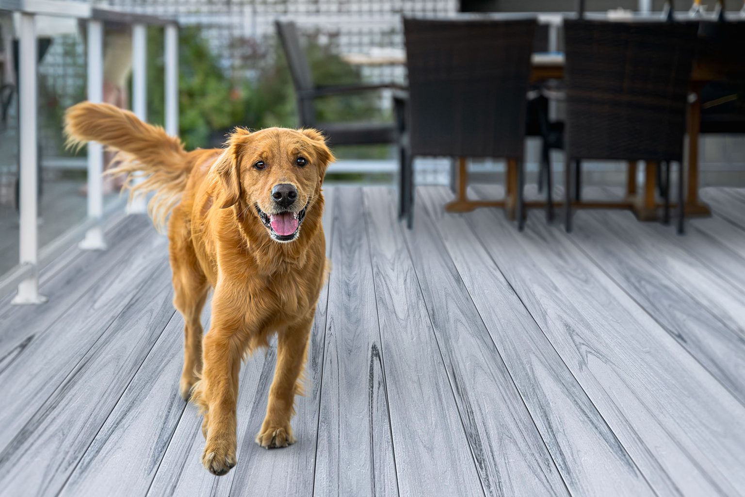 Inspiration - Armadillo Deck - View the Armadillo Deck Photo Gallery ...